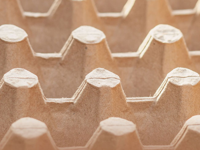 Sustainable Innovations In Molded Fiber Technology - nta.org