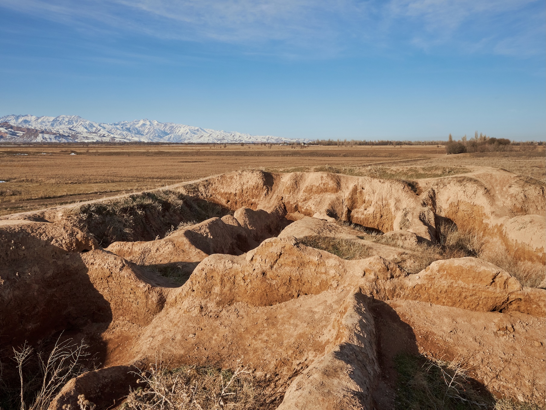Archaeometry - nta.org