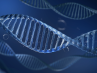 In-Depth Phenotyping and Research Using IMPC-Generated Knockout Mouse ...
